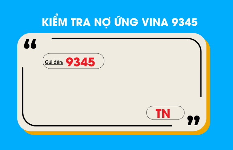 Cách kiểm tra số tiền đã ứng Vina 9345, 1576, 1357 ĐẦY ĐỦ